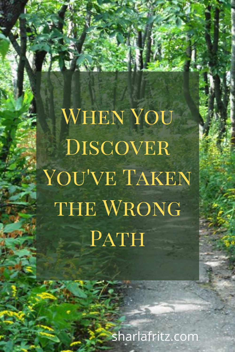 When-You-Discover-Youve-Taken-the-Wrong-Path - Sharla Fritz When-You-Discover-Youve-Taken-the-Wrong-Path - Sharla Fritz